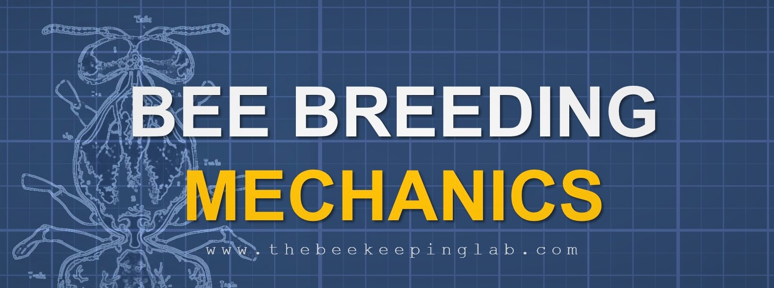 Bee Breeding Mechanics – The Beekeeping Lab