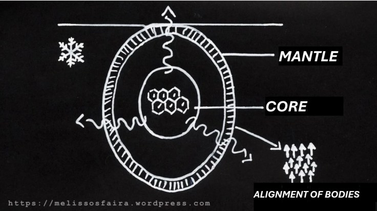 Winter cluster, insulation, and overwintering – The Beekeeping Lab