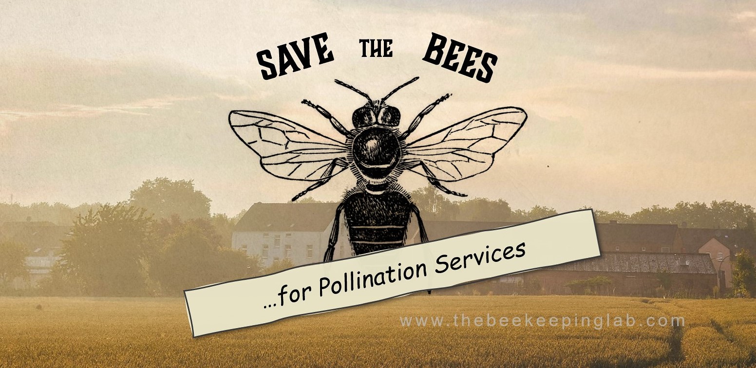 The problem with the “Save the Bees for pollination services” movement ...